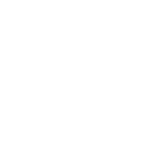 The Dr. Robin Show - Dr. Robin Smith